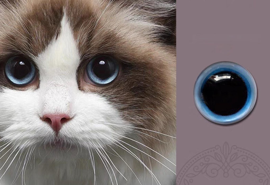 Large Pupils Cat Eyes Glass Eyes for Toy Blue Cat Eyes Felted Toys Eyes ...