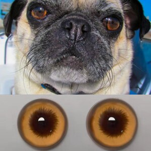 Realistic Yellow Dog Eyes Diy Glass Eye Cabochons Light Hazel Eyes for ...