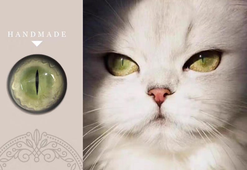 Realistic Light Green Cat Eyes Glass Eye Cabochon Eyes for Toys Small ...