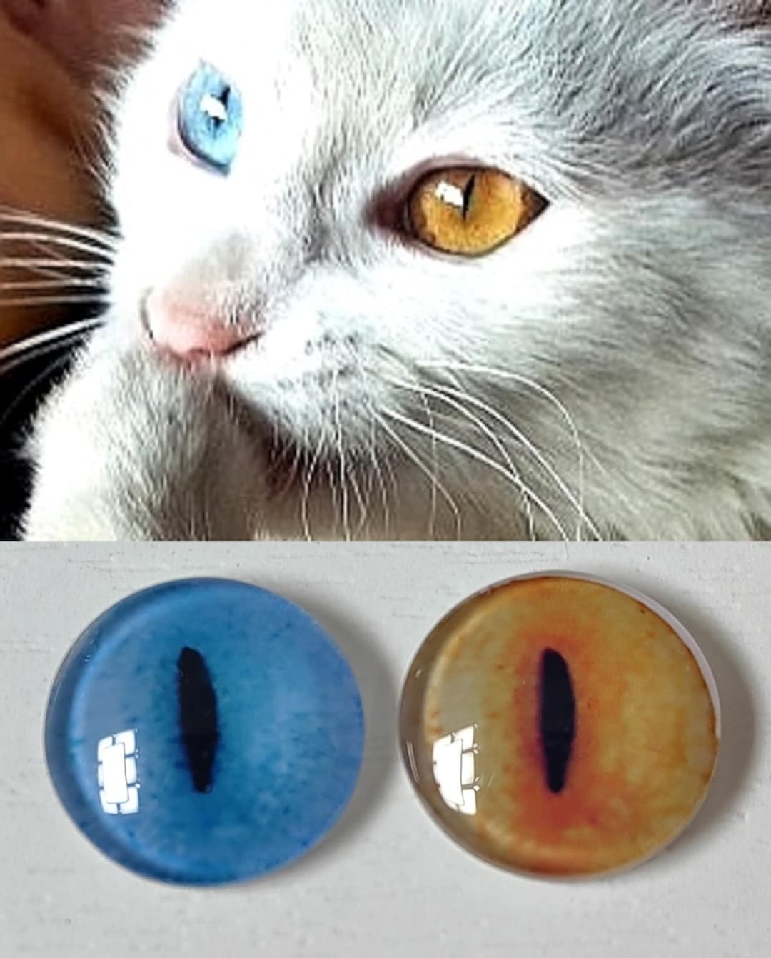 Heterochromia Cat Eyes for Toys 14mm Flat Back Eyes Odd-eyed Cat Eyes ...