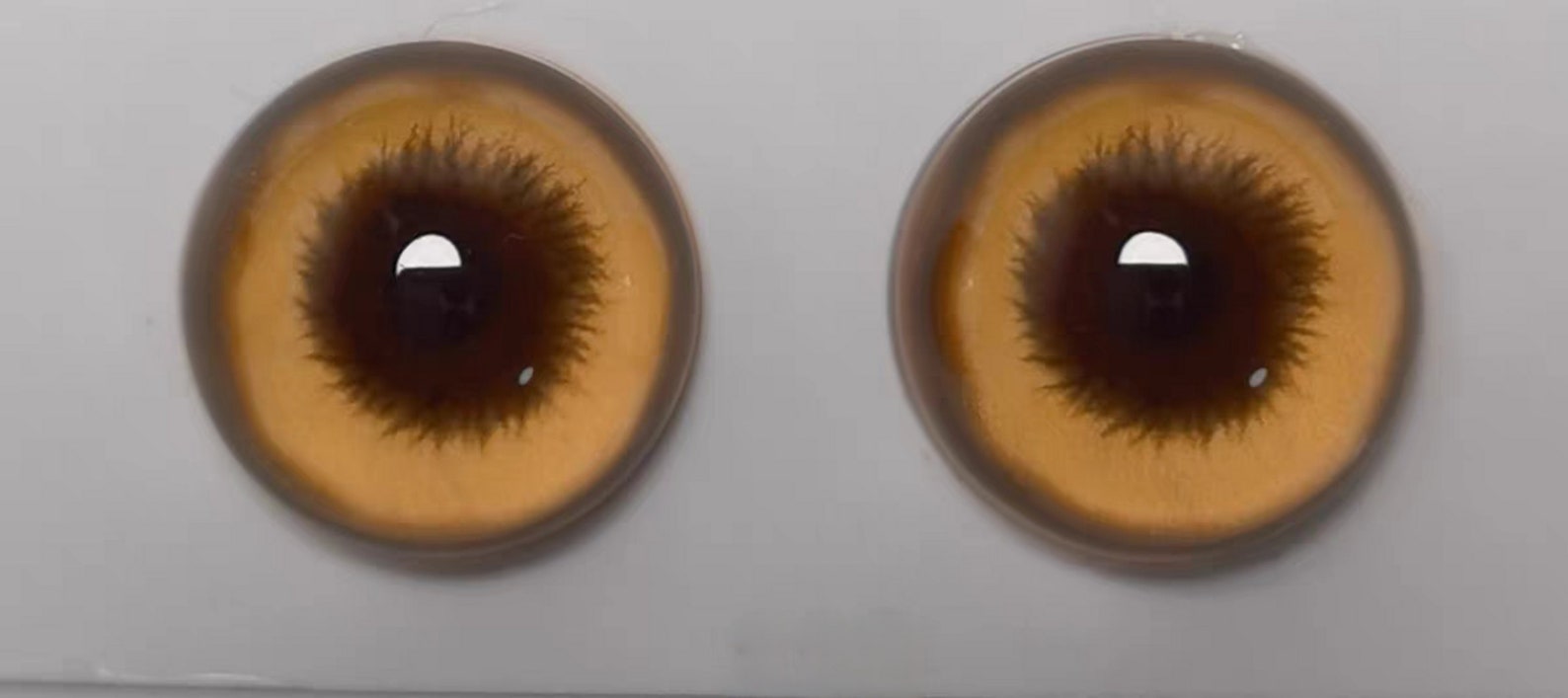 Realistic Yellow Dog Eyes Diy Glass Eye Cabochons Light Hazel Eyes for ...