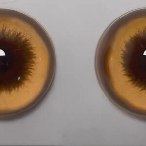 Realistic Yellow Dog Eyes Diy Glass Eye Cabochons Light Hazel Eyes for ...