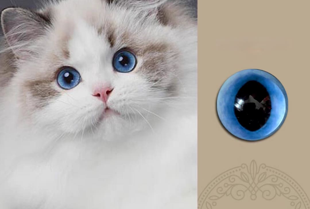 Realistic Blue Cat Eyes Blue Glass Eye Cabochons Ragdoll Eyes for Toys ...