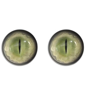 Realistic Light Green Cat Eyes Glass Eye Cabochon Eyes for Toys Small ...