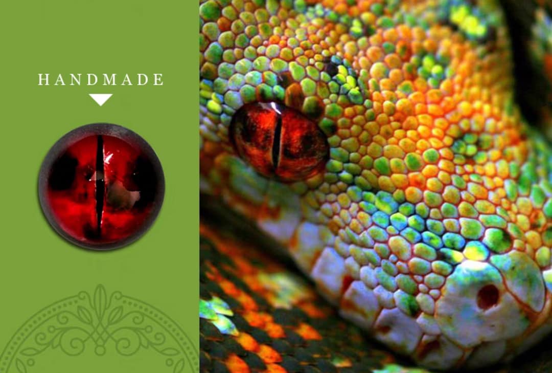 Red Snake Eyes Glass Eyes for Toy Red Dragon Eyes Reptile Toy Eyes ...