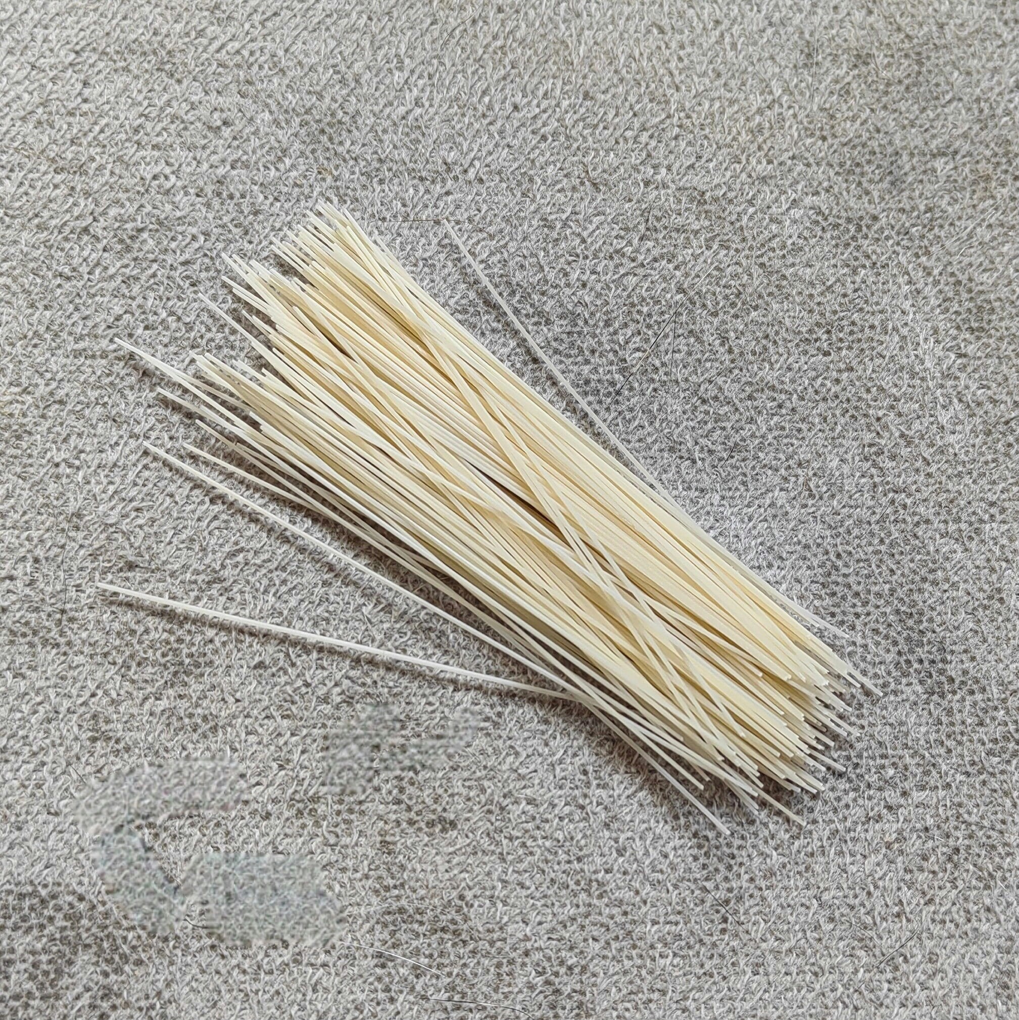 Realistic Cat Whiskers for Toy Making Dog Whiskers White Whiskers Black ...