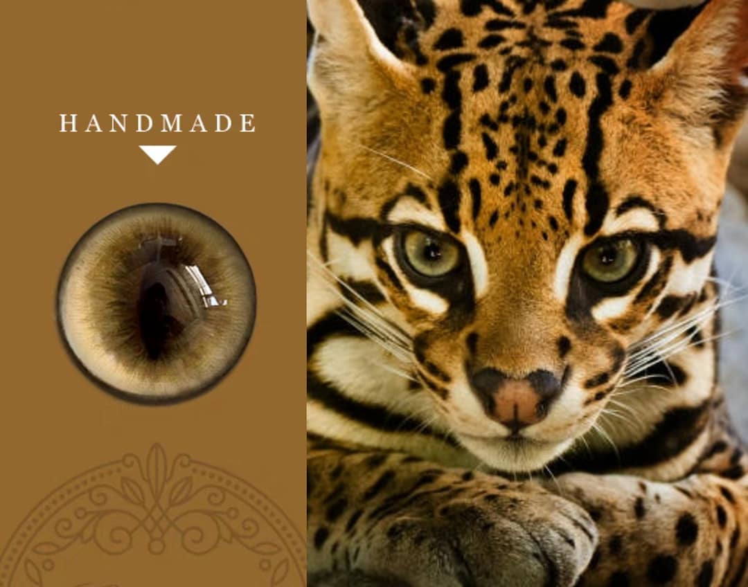 Ocelot Eyes Light Greyish Green Eyes for Toys Realistic Lynx Glass Eyes Felted Wild Cat Eyes ...