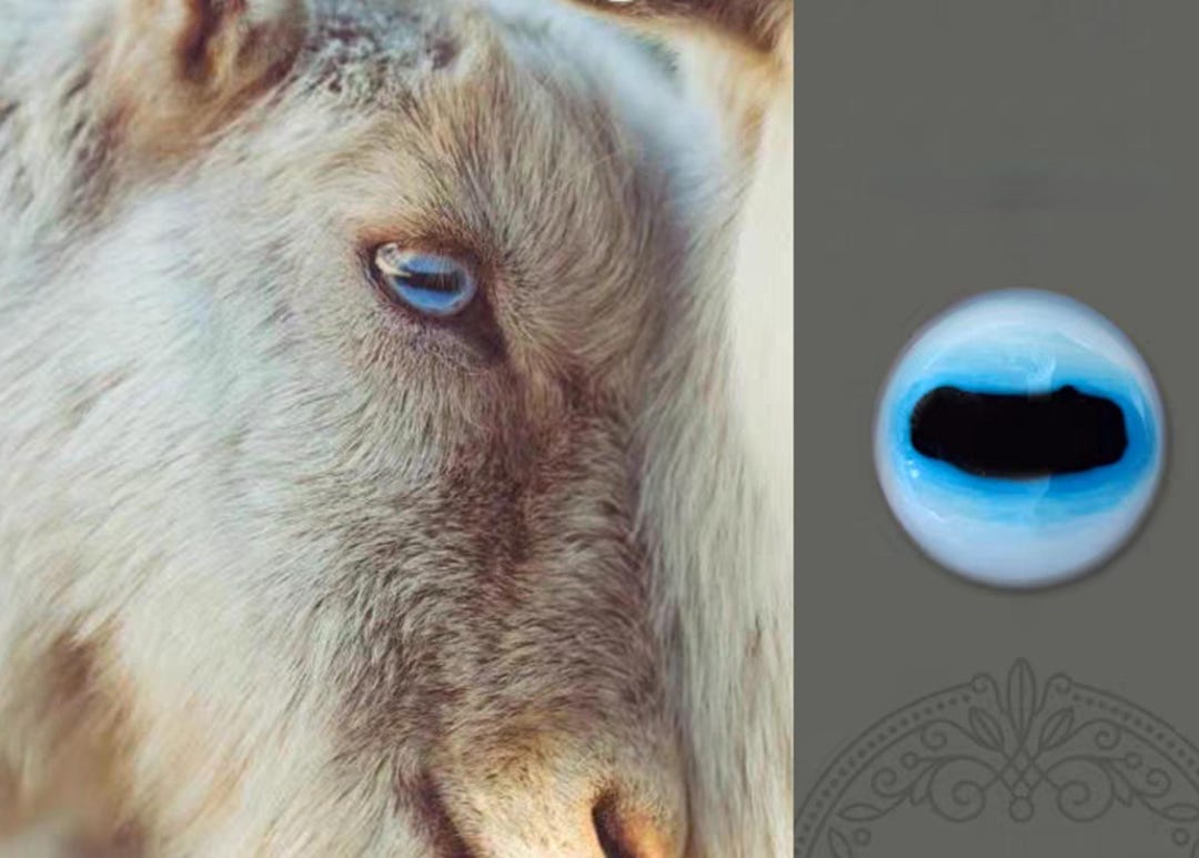 Sky Blue Goat Eyes Sheep Glass Eye Cabochon Eyes for Toy Felted Bright ...