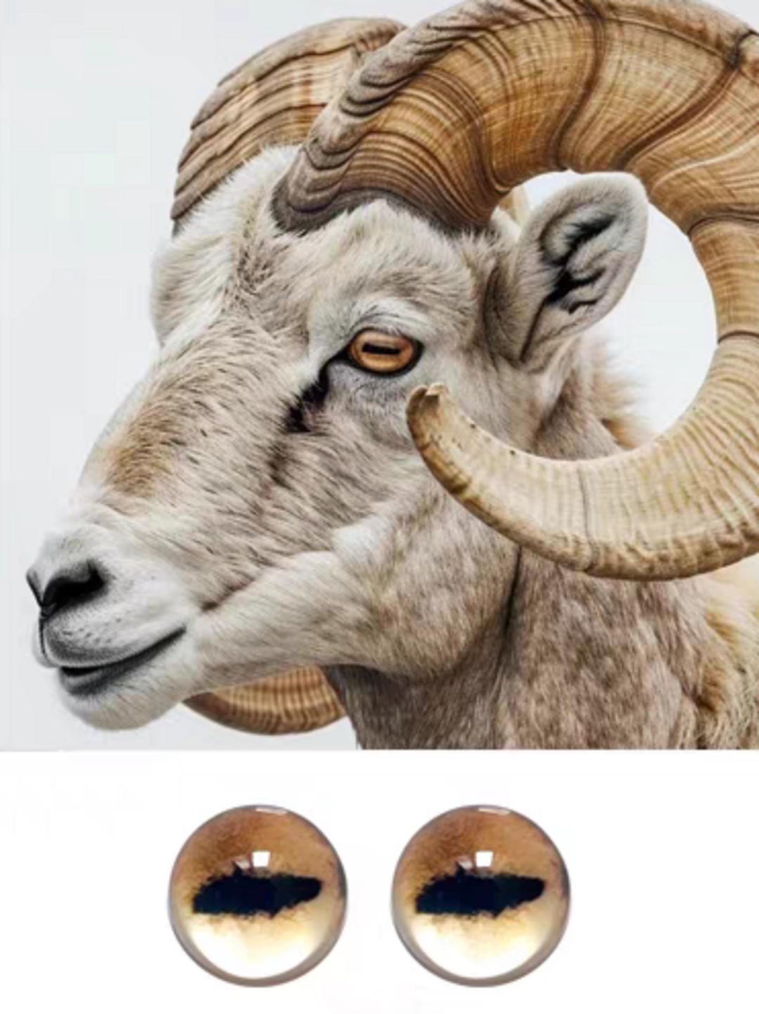 Hazel Glass Eyes Realistic Light Brown Beige Eyes Sheep Goat Deer ...