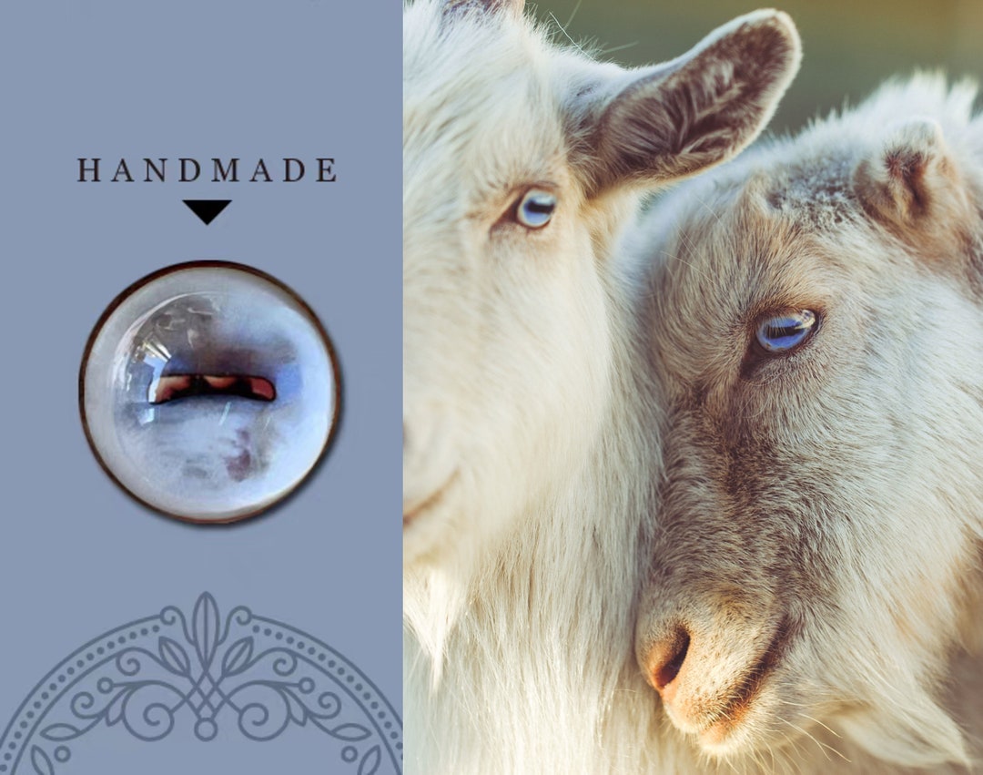 Greyish Blue Goat Eyes Sheep Glass Eye Cabochon Eyes for Toy Felted ...