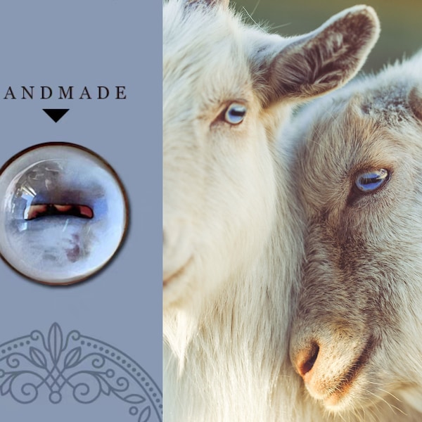 Goats With Blue Eyes - Etsy