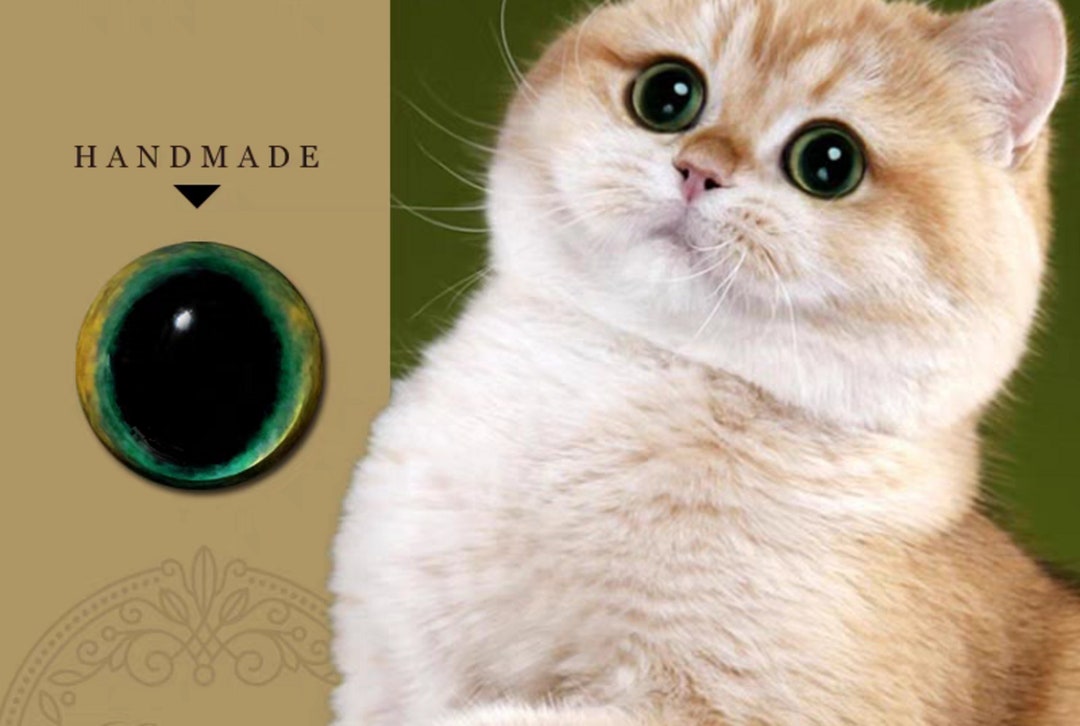 Large Pupil Cat Eyes for Toys Green Glass Realistic Animal Eyes Felted ...