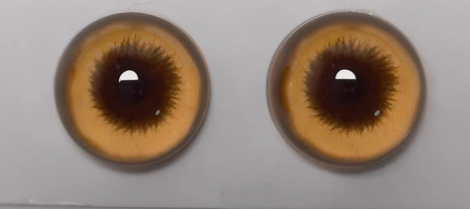 Realistic Yellow Dog Eyes Diy Glass Eye Cabochons Light Hazel Eyes for ...