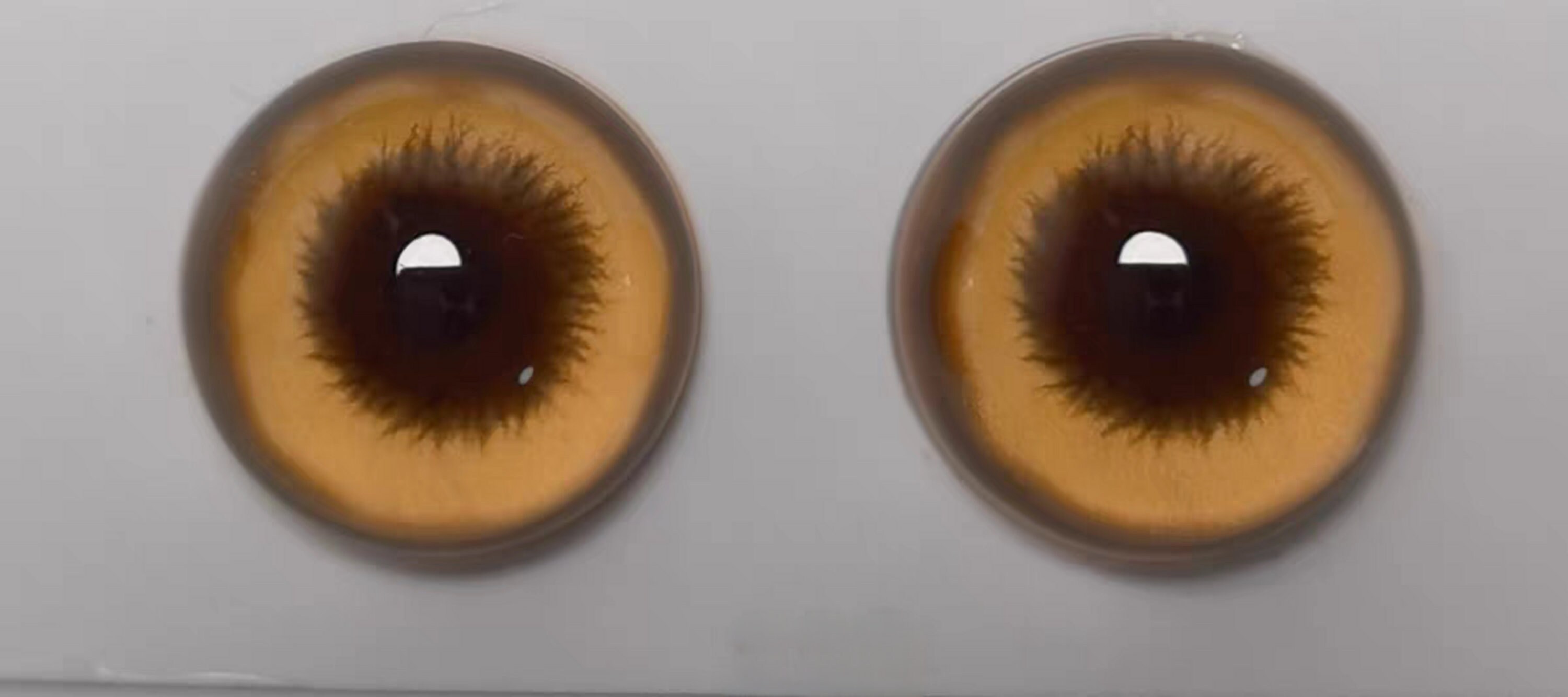 Realistic Yellow Dog Eyes Diy Glass Eye Cabochons Light Hazel Eyes for ...