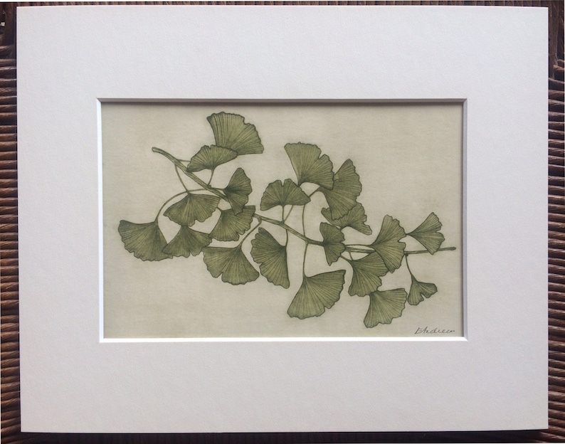 Ginkgo Fine Art Print - Etsy