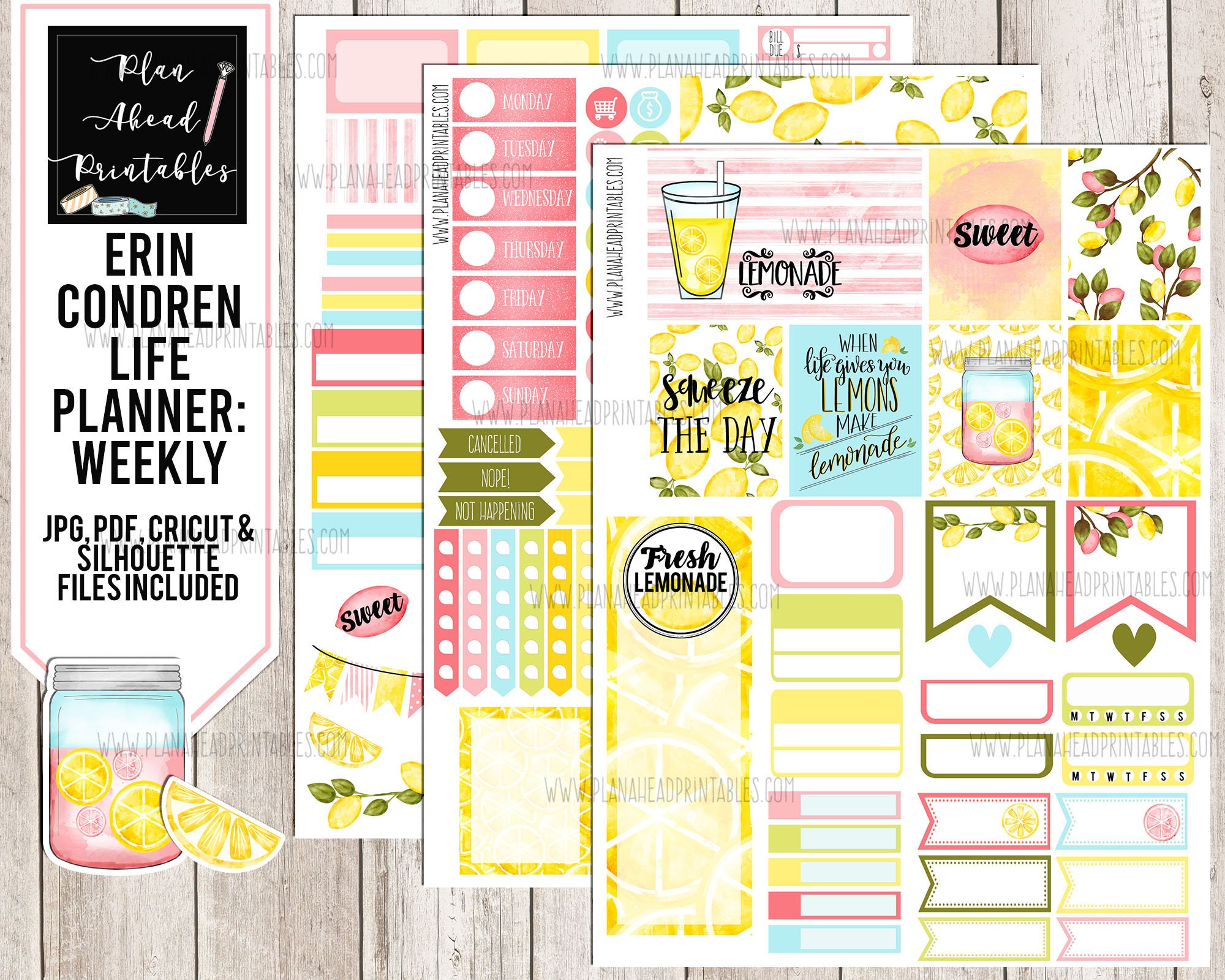 Stickers, Labels & Tags For use with Erin Condren Life Planner and ...