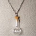 Test Tube Necklace, Science Jewelry, Chemistry Jewelry, Flask Jewelry ...