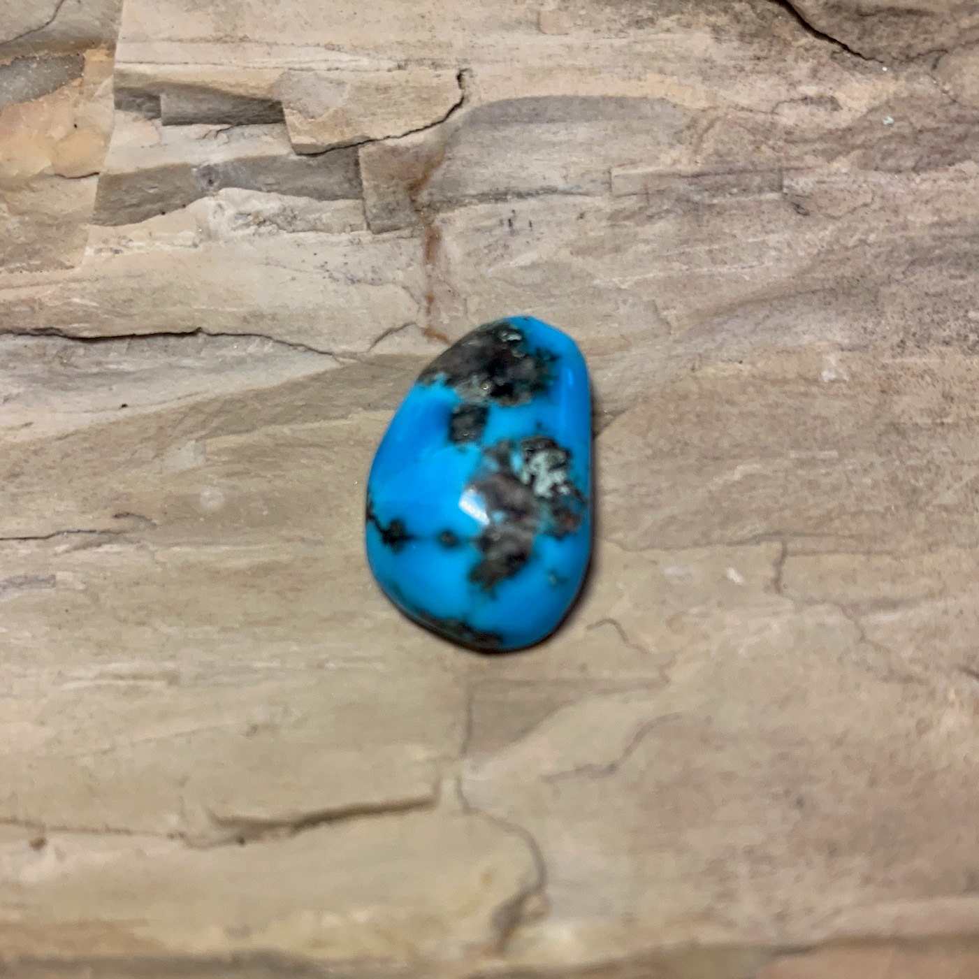Ithaca Peak Turquoise Cabochon With Pyrite Matrix Kingman 13 - Etsy Canada