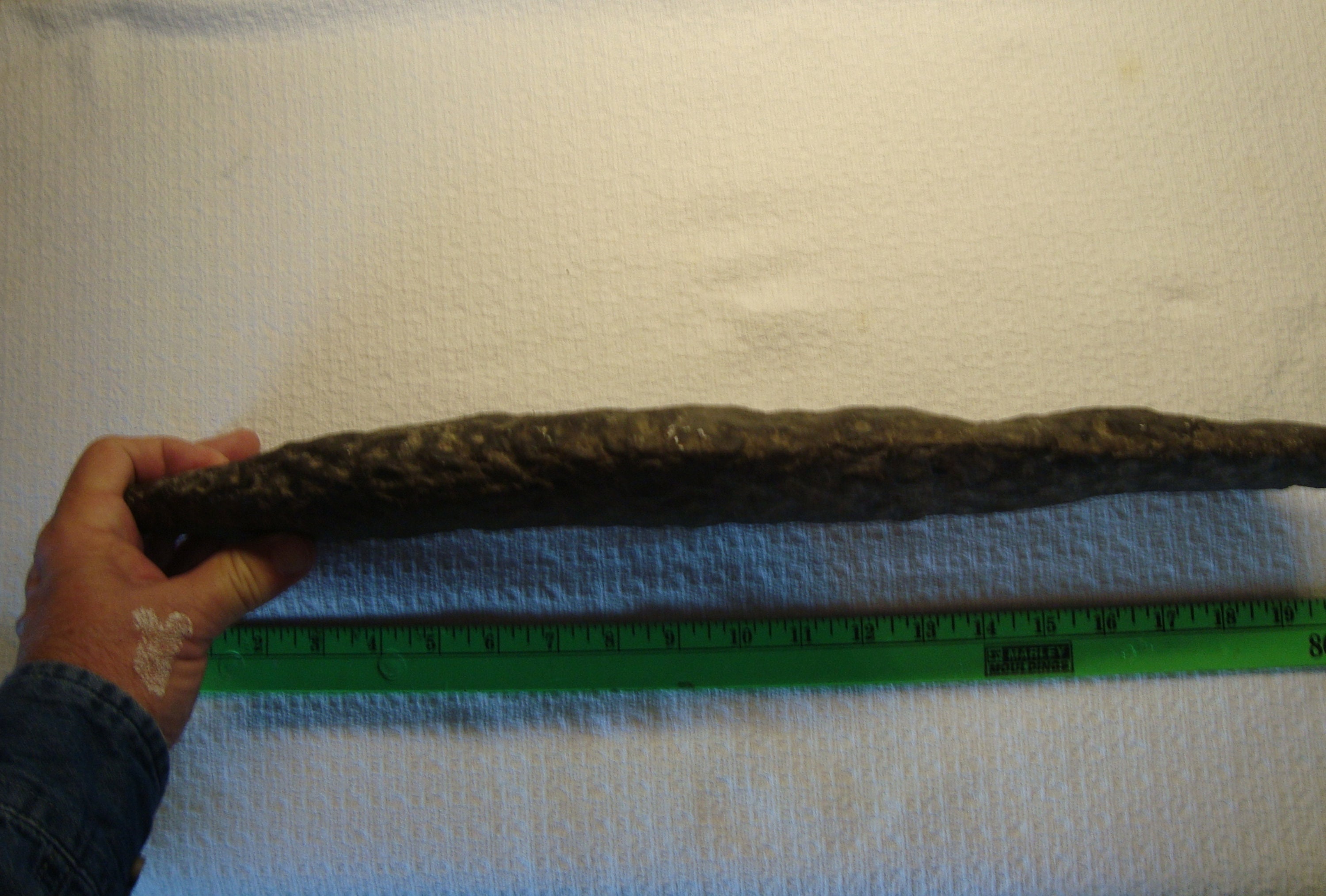 RARE 19” Fossil Stigmaria Root, 3D Preserved, Museum Centerpiece ...