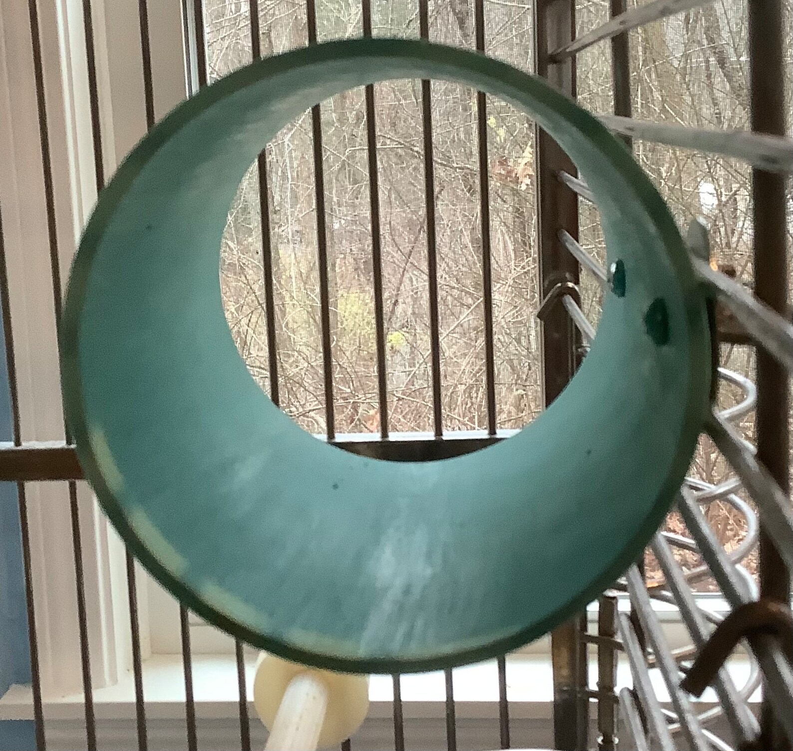 Parrot Bird Green PVC Bed Hut Tunnel Tube 4” Conure Caique Quaker ...