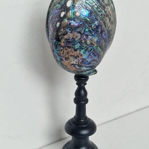 Antique Shell on Wood Stand, Oude Albalone Schelp Op Voet, Shell on ...