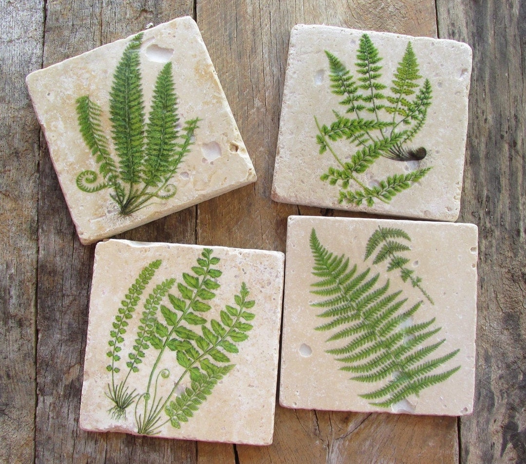Fern Plant Coasters Set of 4, Fern Botanical Rustic Stone Coasters ...