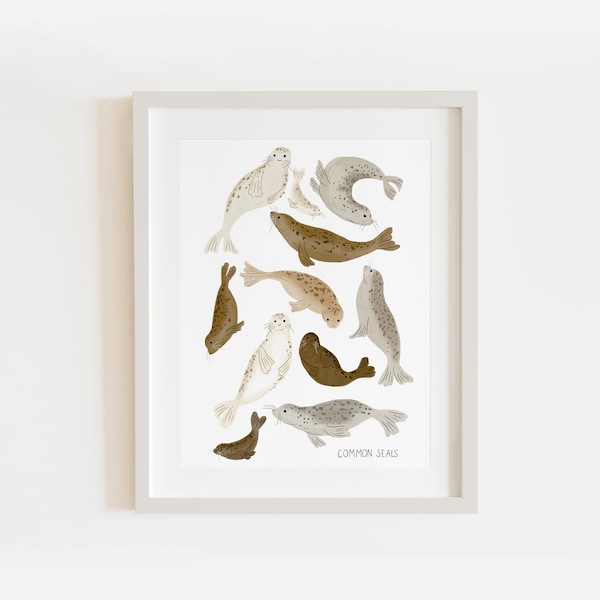 Seal Poster - Etsy