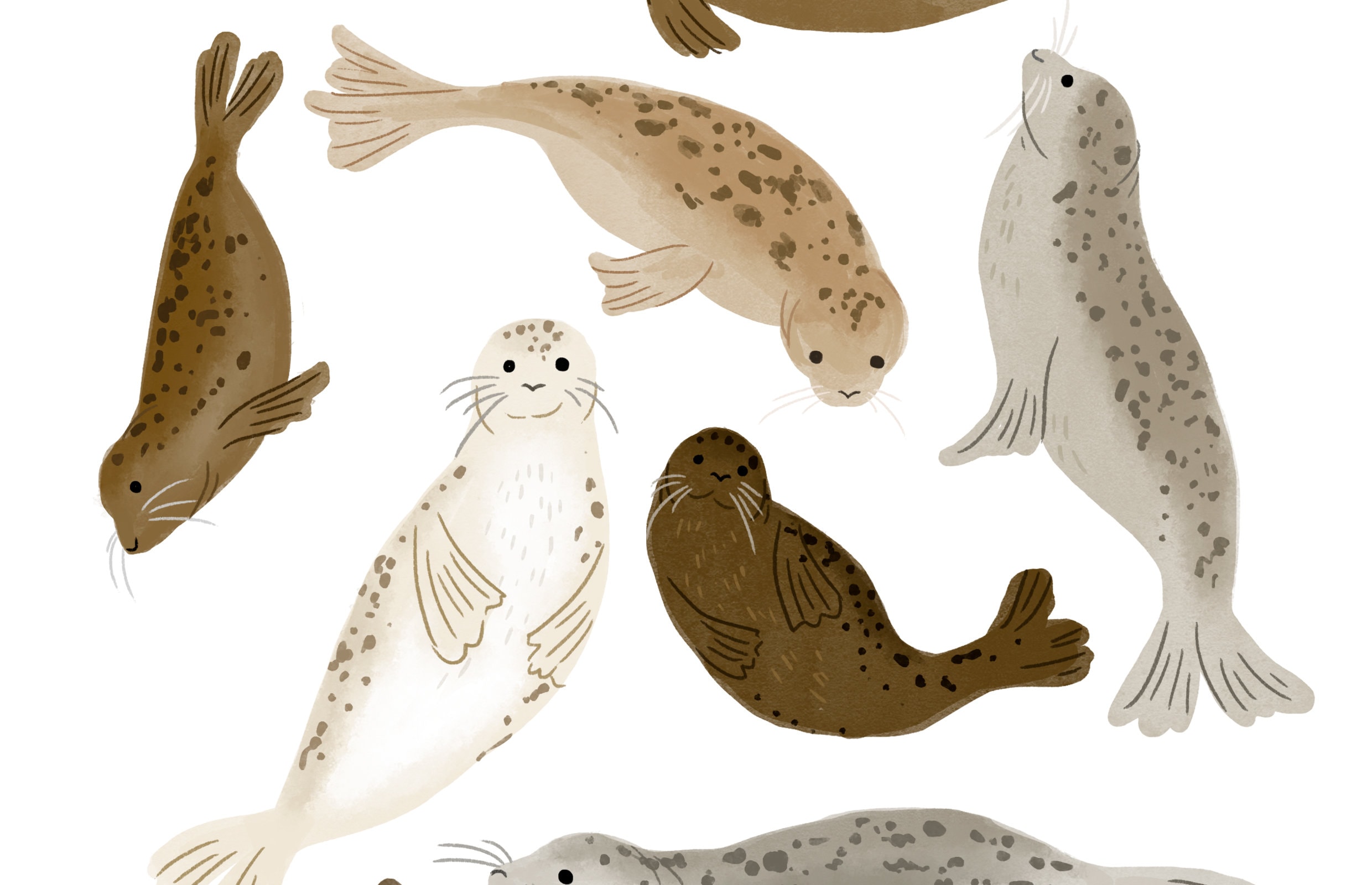 Seals Art Print Cornish Seals Poster Grey Ocean Nursery - Etsy