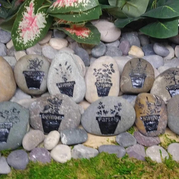 Engraved Garden Marker - Etsy