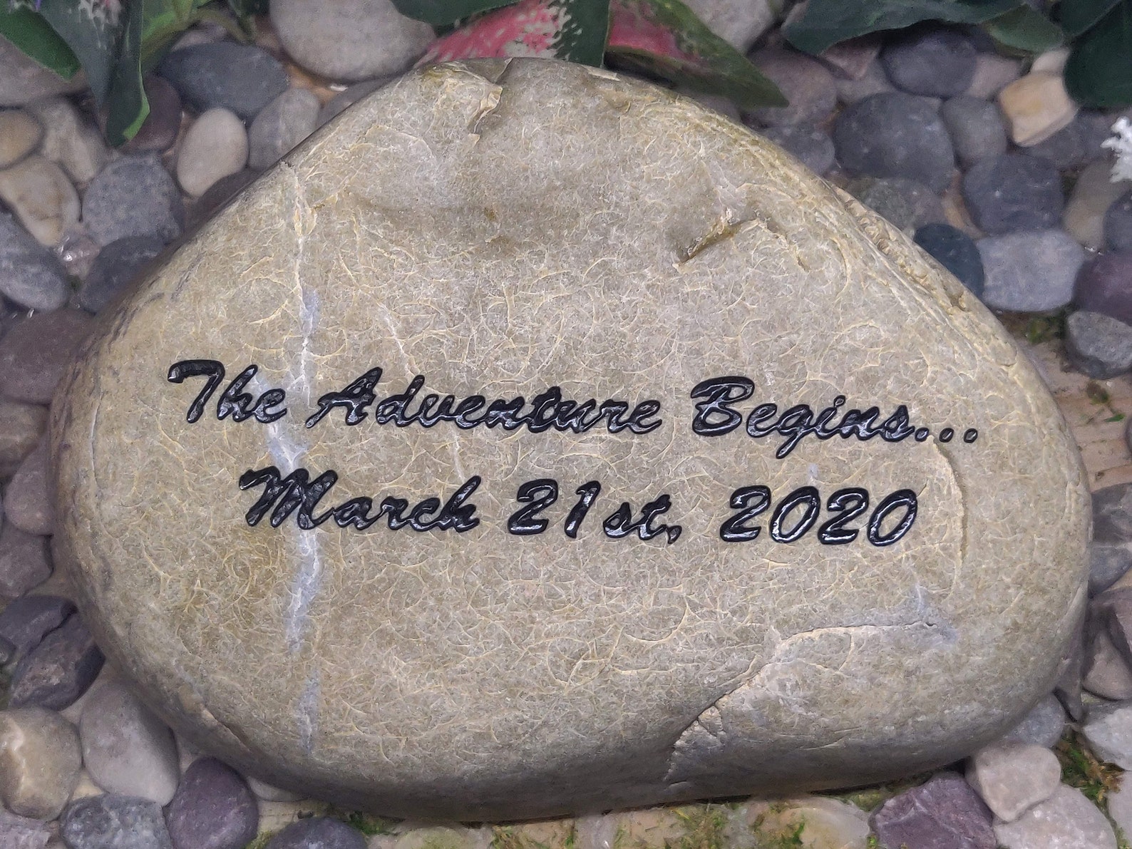 Engagement Request Proposal Bended Knee I Got Down on One Knee Stones ...