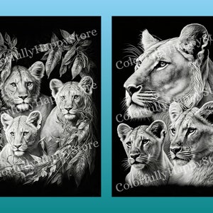 Bigcats, Grayscale Coloring Pages Black Background, Adult Coloring Book ...