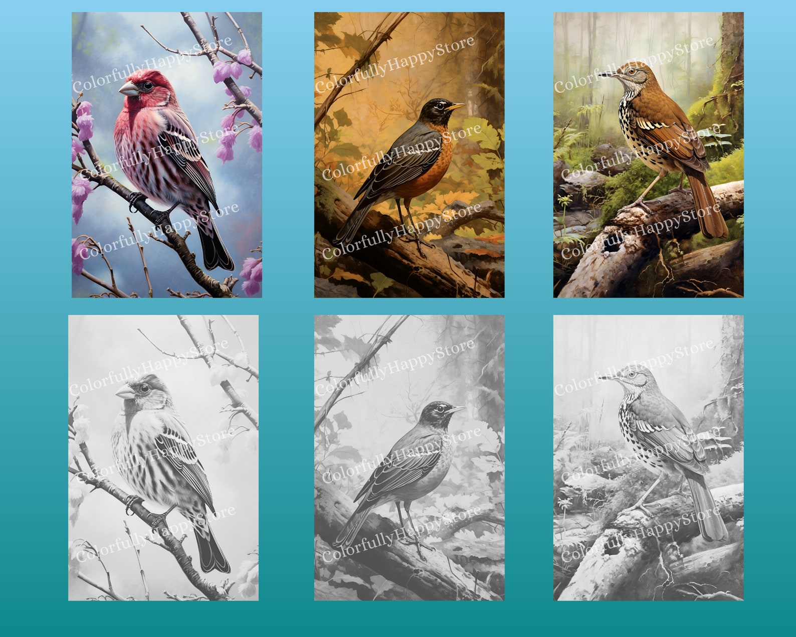 Birds Coloring Pages, Book Coloring Grayscale, Coloring Realistic ...