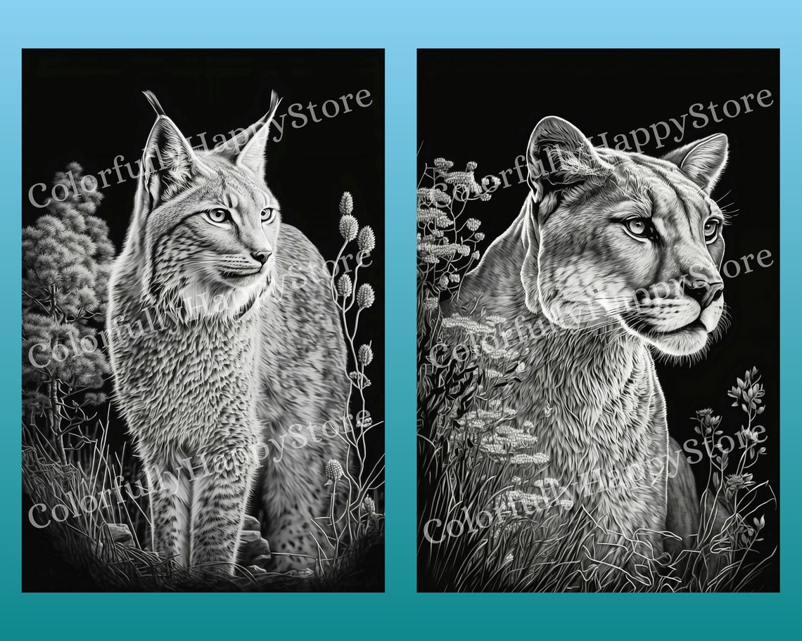 Big Cats Grayscale Coloring Pages Black Background Adult - Etsy