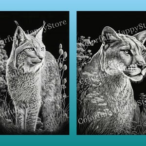Bigcats, Grayscale Coloring Pages Black Background, Adult Coloring Book ...