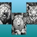 Bigcats Grayscale Coloring Pages Black Background Adult - Etsy