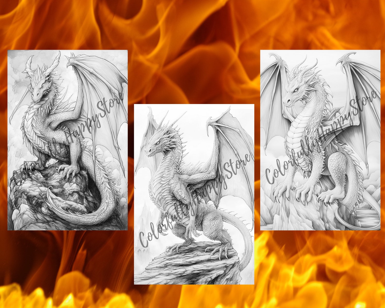 Dragons Grayscale Coloring Pages Adult Coloring Books Mens - Etsy