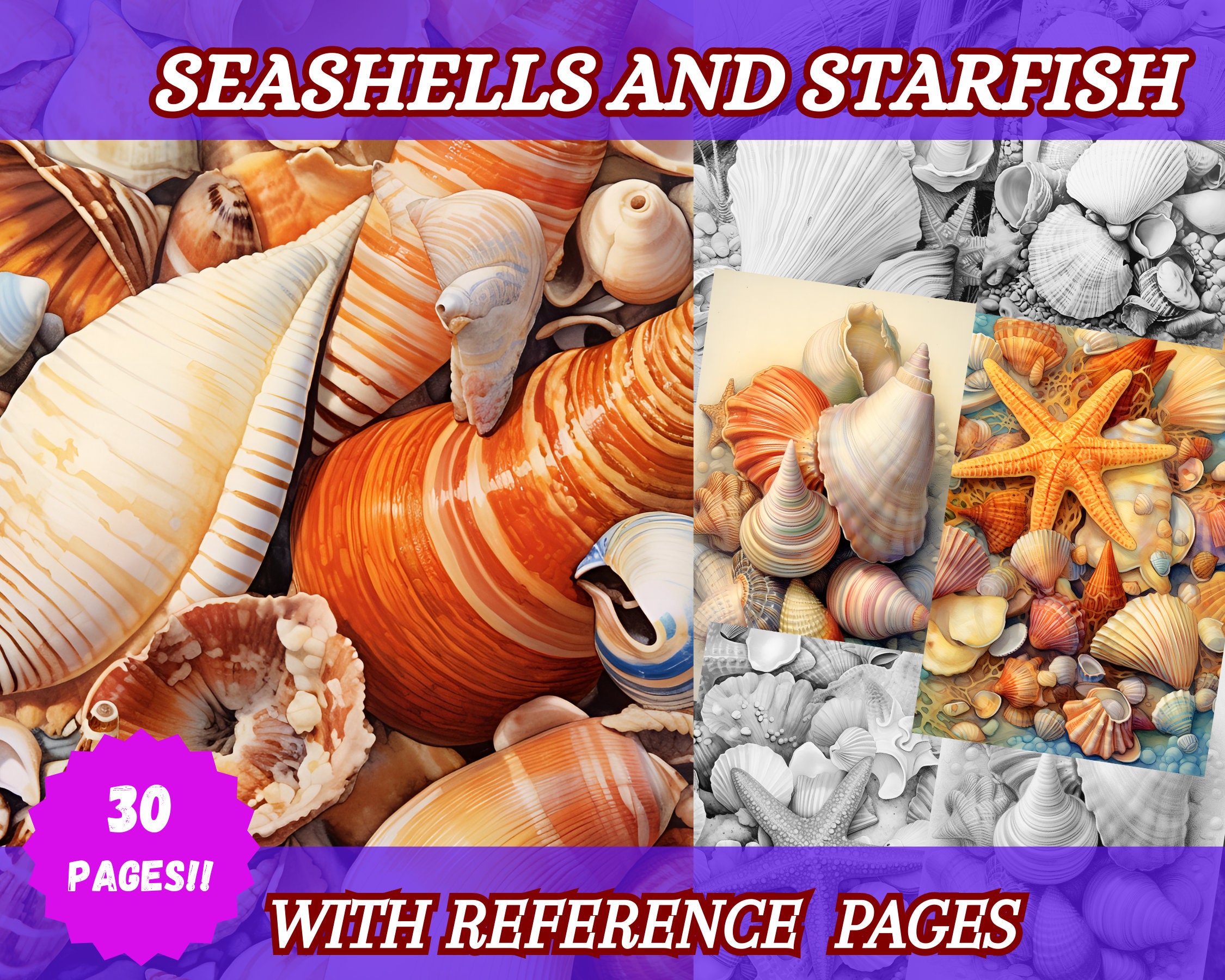 Seashells Starfish Coloring Pages Grayscale Coloring Book - Etsy