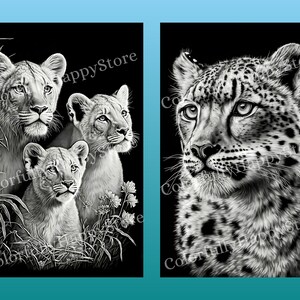 Bigcats, Grayscale Coloring Pages Black Background, Adult Coloring Book ...