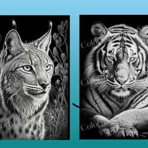 Bigcats, Grayscale Coloring Pages Black Background, Adult Coloring Book ...
