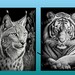 Bigcats Grayscale Coloring Pages Black Background Adult - Etsy