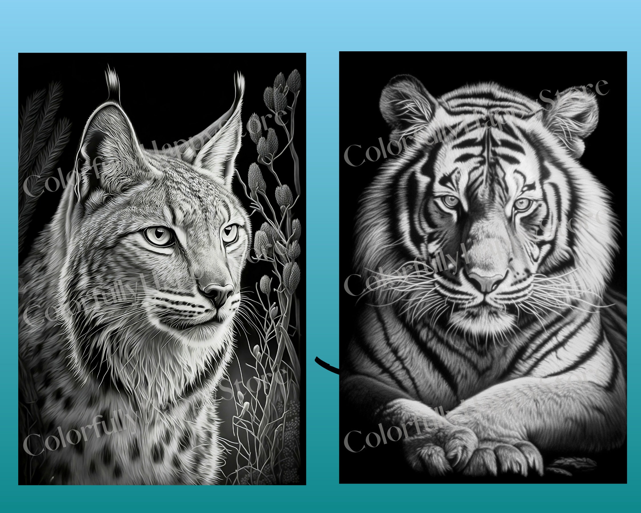 Bigcats, Grayscale Coloring Pages Black Background, Adult Coloring Book ...