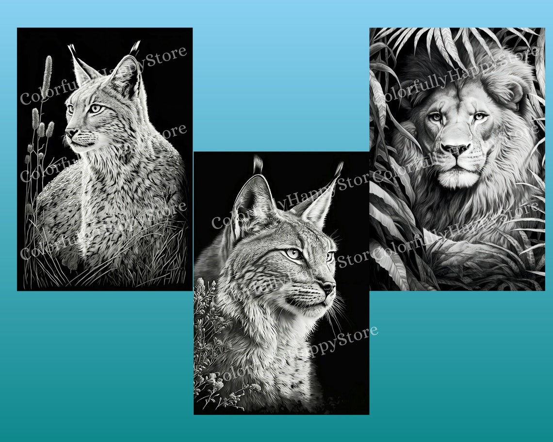 Big Cats Grayscale Coloring Pages Black Background Adult - Etsy