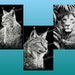 Bigcats Grayscale Coloring Pages Black Background Adult - Etsy