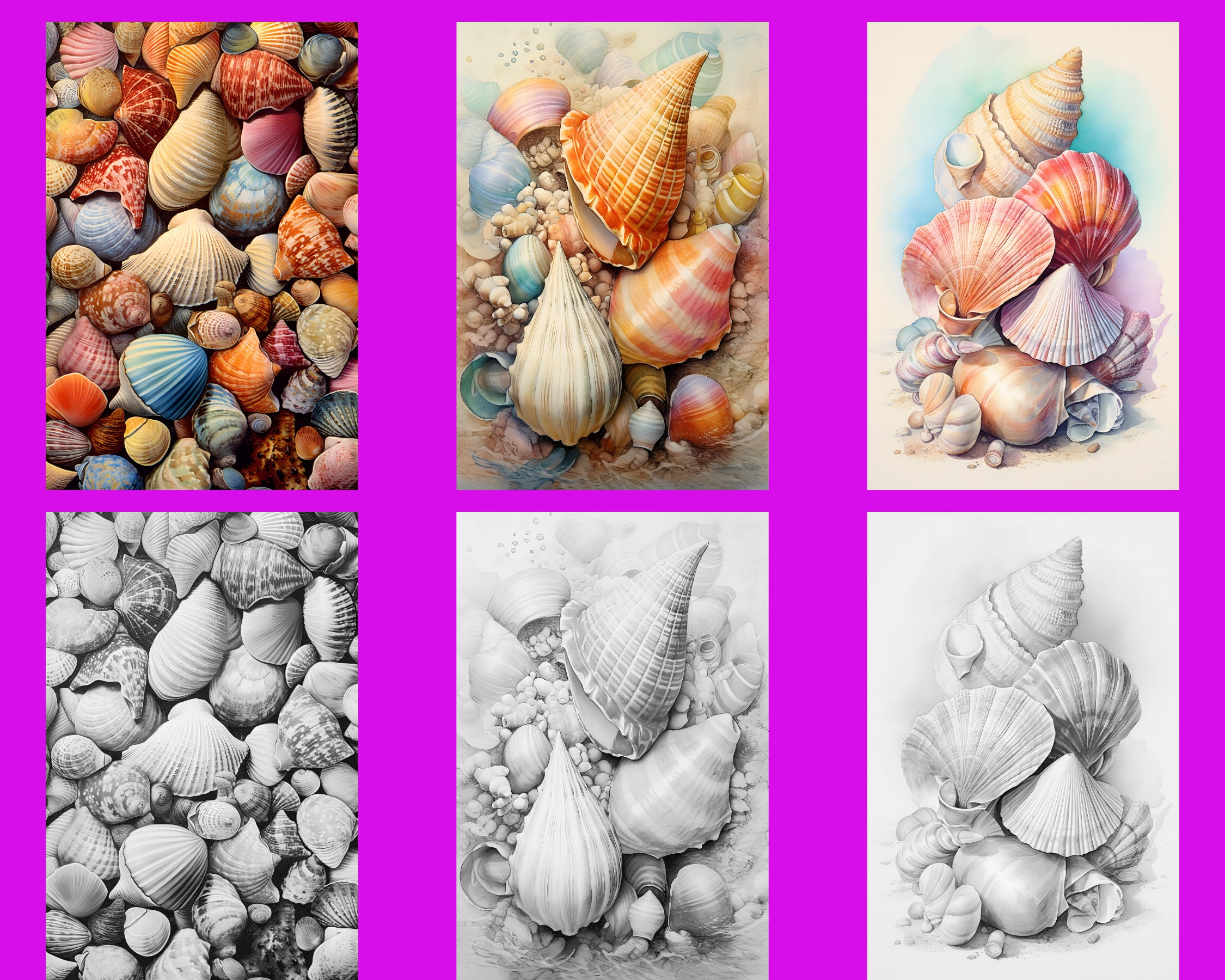 Seashells Starfish Coloring Pages Grayscale Coloring Book - Etsy