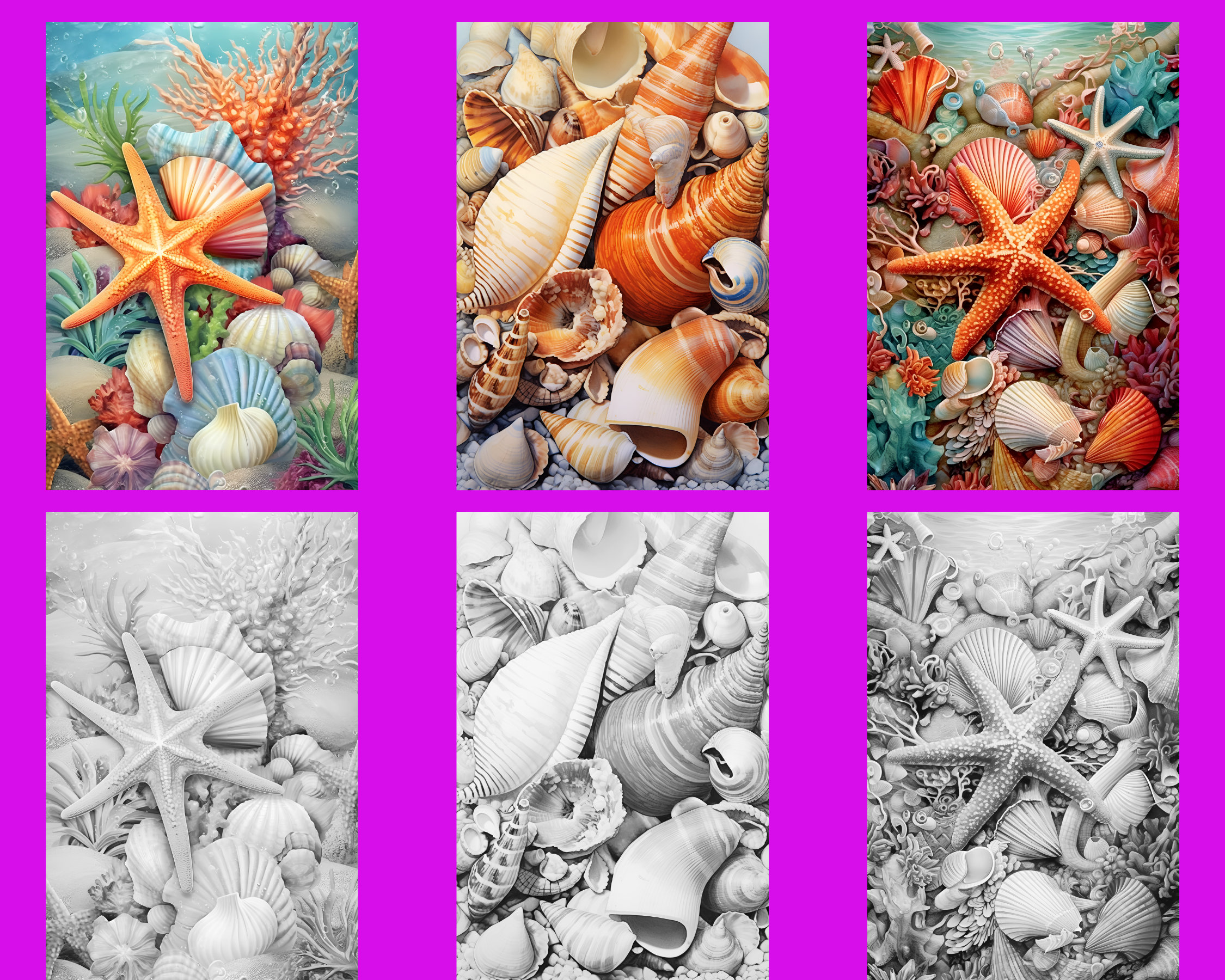 Seashells Starfish Coloring Pages Grayscale Coloring Book - Etsy