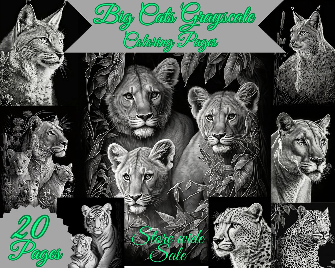 Big Cats Grayscale Coloring Pages Black Background Adult - Etsy