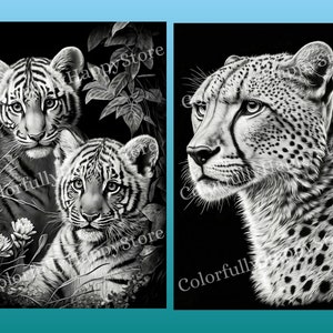 Bigcats, Grayscale Coloring Pages Black Background, Adult Coloring Book ...