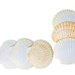 Vintage Real Scallop Shell Serving Plates/bowls a Set of 6 - Etsy