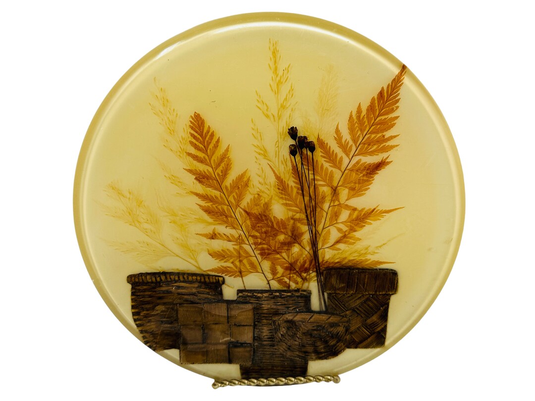 Vintage Lucite Trivet With Woven Baskets Dried Flowers and Ferns - Etsy
