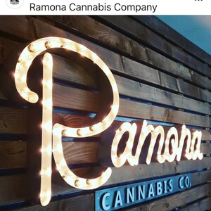 Custom-lit Sign-script/cursive Channel Letters. Led Bulb/neon/front ...